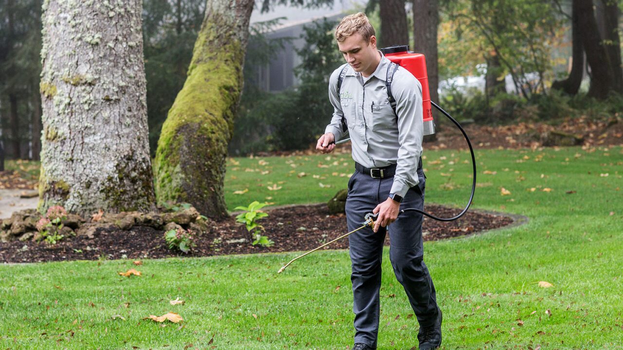 Local Pests - Our Pest Control - Aspen Pest Control