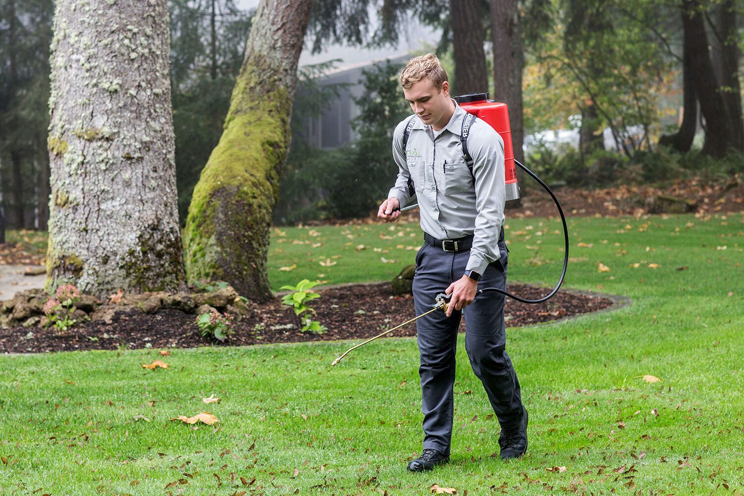 Local Pests - Our Pest Control - Aspen Pest Control