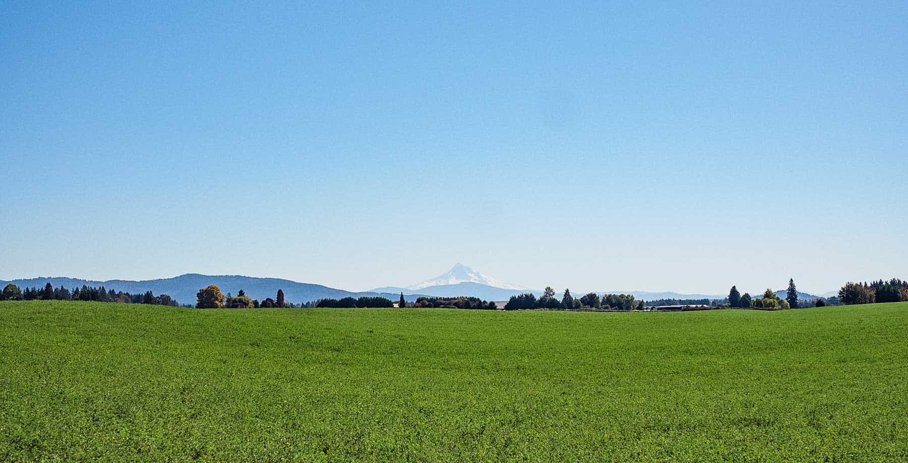 BEST Pest Control Near You in Brush Prairie, WA - Exterminator in Brush ...